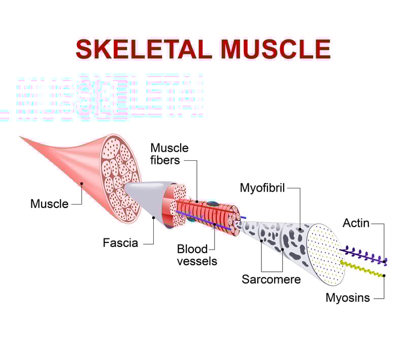 High Intensity Workouts with Minimal Rest: RiSks of Injury